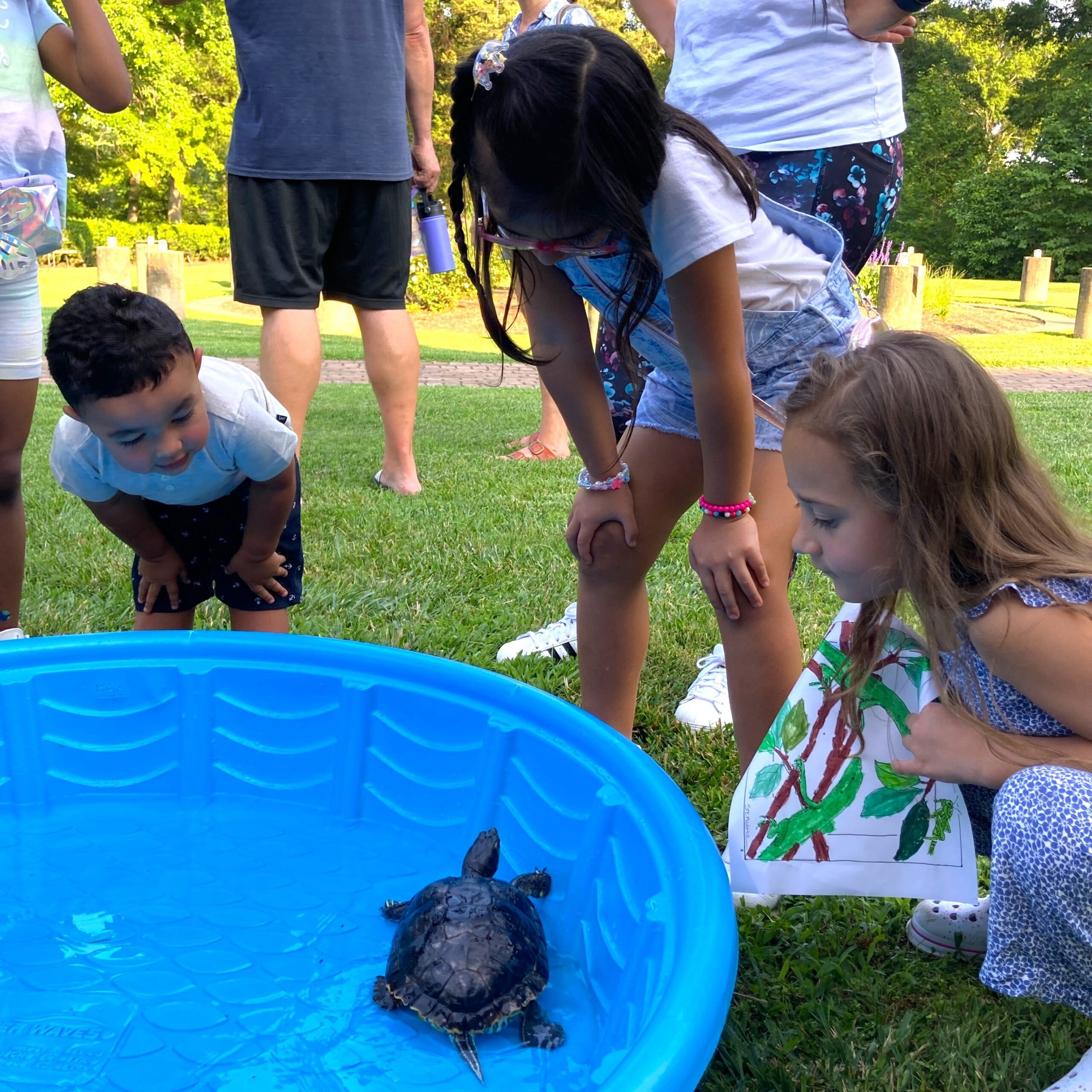 Wild Wednesday | The Mint Museum