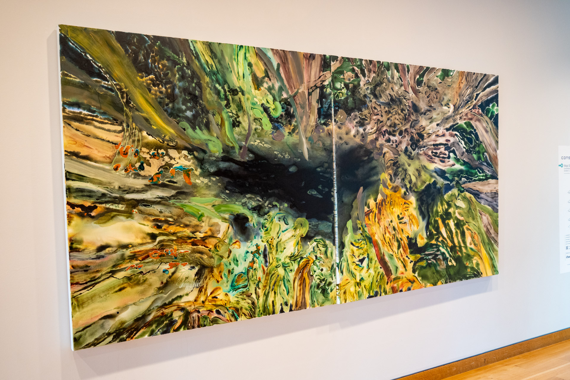 Maja Godlewska’s 'The Fluid Landscapes,' a meditation on nature, memory, and human impact ...